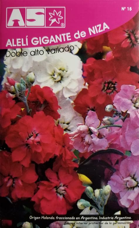 Aleli Gigante De Niza Doble Alto Arie Sonneveldt