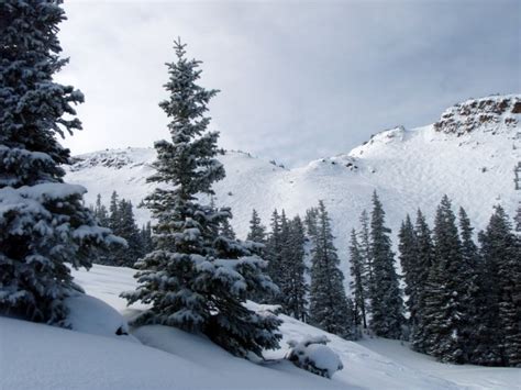 Amf Snowmass Aspen Colorado Vacation Favorite Places