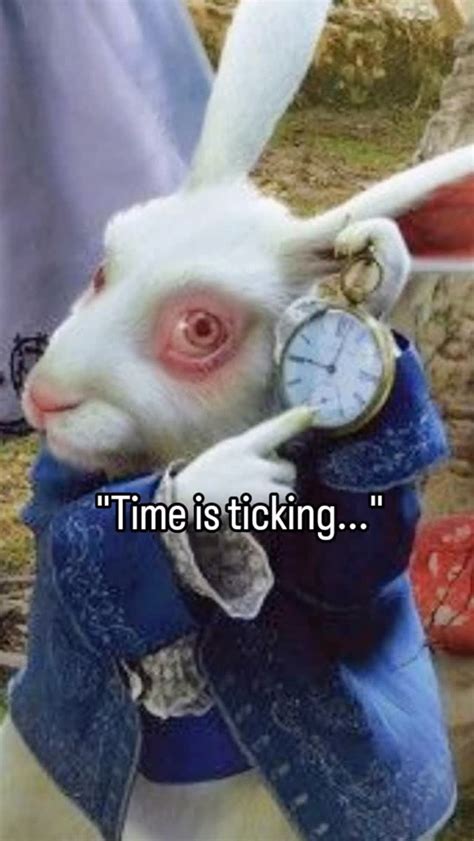 Times Ticking Rabbit