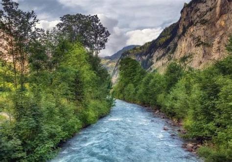 What Is A Lotic Ecosystem Characteristics And Examples