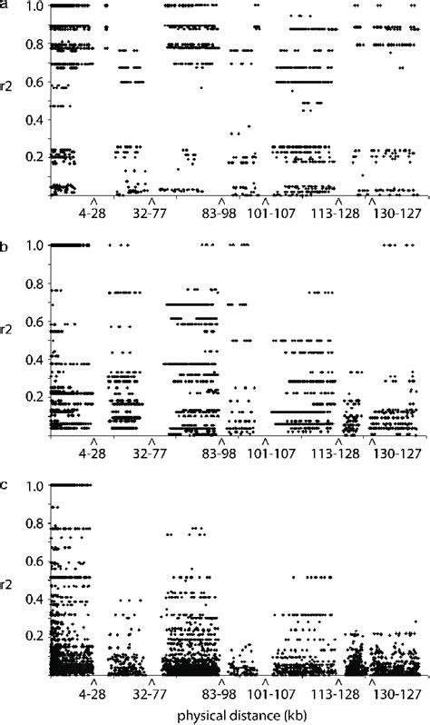Plots Of LD R 2 As A Function Of Distance In Kilobases For The Download Scientific