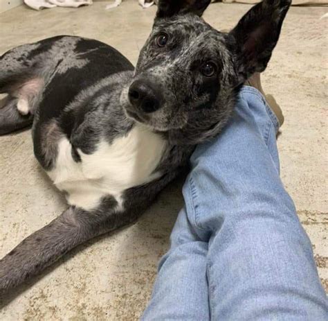 Watson Album On Imgur Watson Album On Imgur