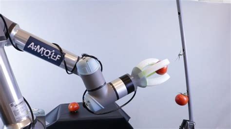 tech xplore on linkedin soft robot fingers that can carefully squeeze