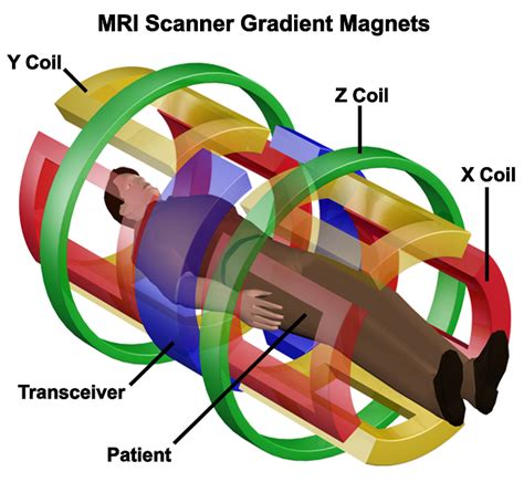 Mri A Guided Tour Magnet Academy