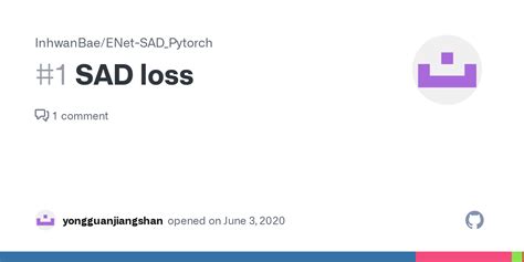 sad loss · issue 1 · inhwanbae enet sad pytorch · github