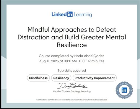 hoda abdelqader on linkedin cib summer internship 2023