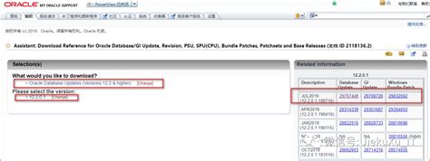 oracle 12c 最新补丁下载与安装操作指北 csdn博客