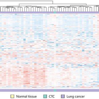 Heat Map Illustrating The Completelinkage Clustering Analysis Of Download Scientific Diagram