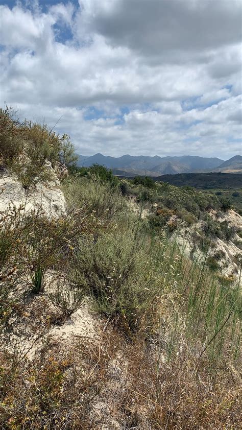 Ronald W Caspers Wilderness Park Ca Rhiking