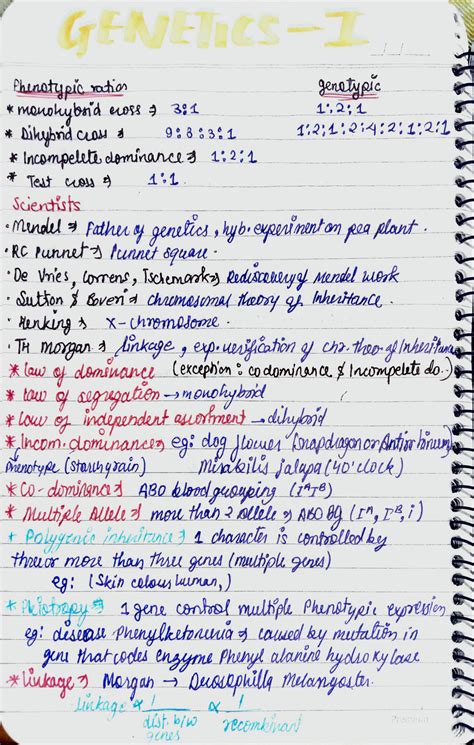 Solution Short Notes Genetics 1 Principle Of Inheritance Studypool