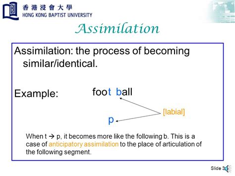 Assimilation Examples