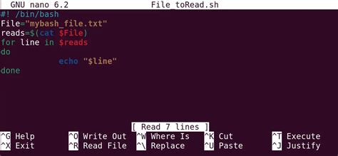 Bash For Each Line In File Its Linux Foss