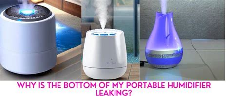 Why Is My Portable Humidifier Leaking From The Bottom Infor Easy Home