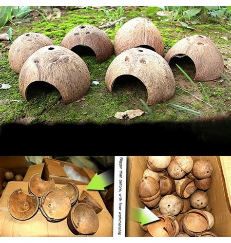 파충류사육장 크레스티드게코사육장 도마뱀 파충류 은폐 코코넛 껍질 동굴 숨기기 Diy 양서류 사육 상자 티몬