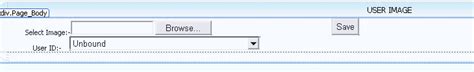 Display Image In Rdlc Report Microsoft Report Viewer