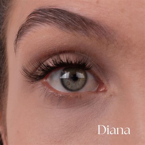 Lash Segment Various Styles Lashpro