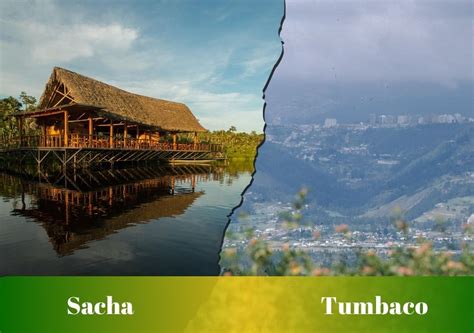 sacha a tumbaco 】 ida y vuelta precios horarios y más
