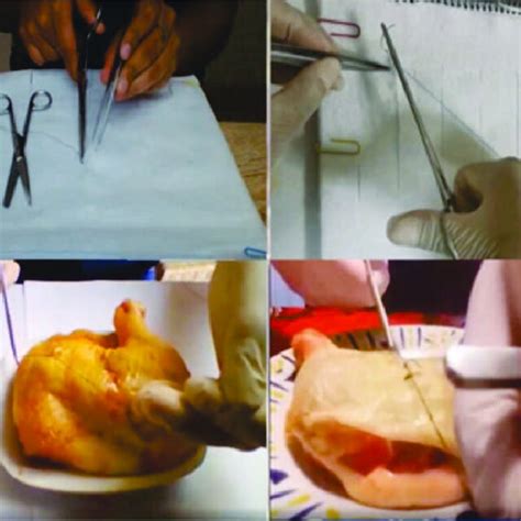 Simulation Models For Sutures In Synchronous Classes Download