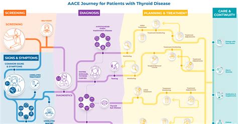 Patient Journey Thyroid Planning And Treatment Hyperthyroid American Association Of