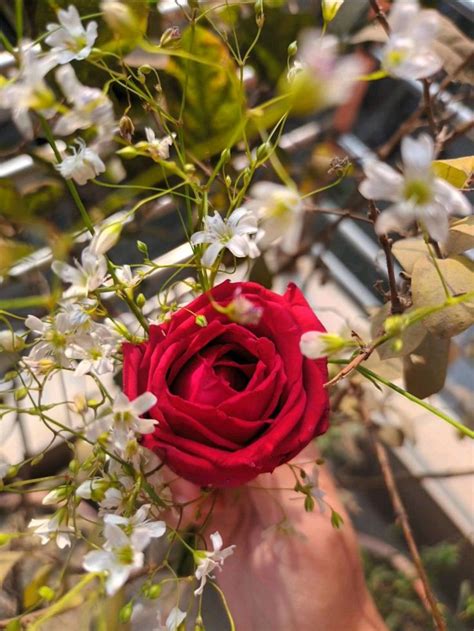 Tarsem Kaur तरसेम कौर On Linkedin Saturdayquotes Inspiration Goodmorningeveryone Goodvibesonly