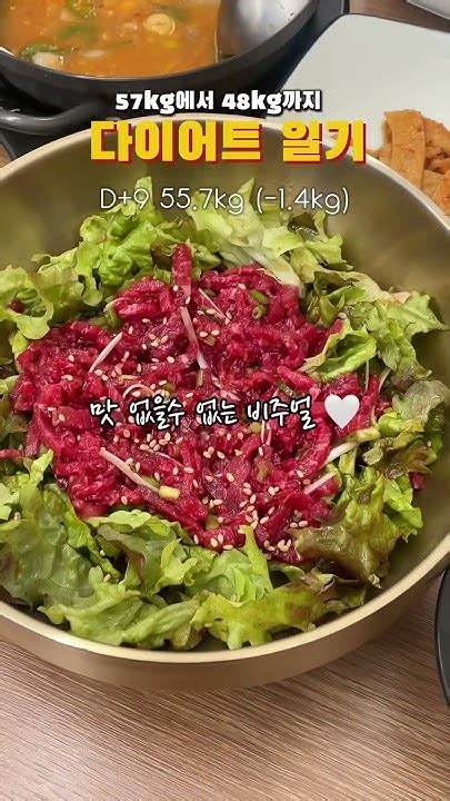 다이어트 브이로그 체중기록 다이어트일기 Youtube