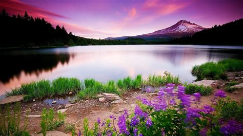 Colorful Beautiful Nature Wallpapers Top Free Colorful Beautiful