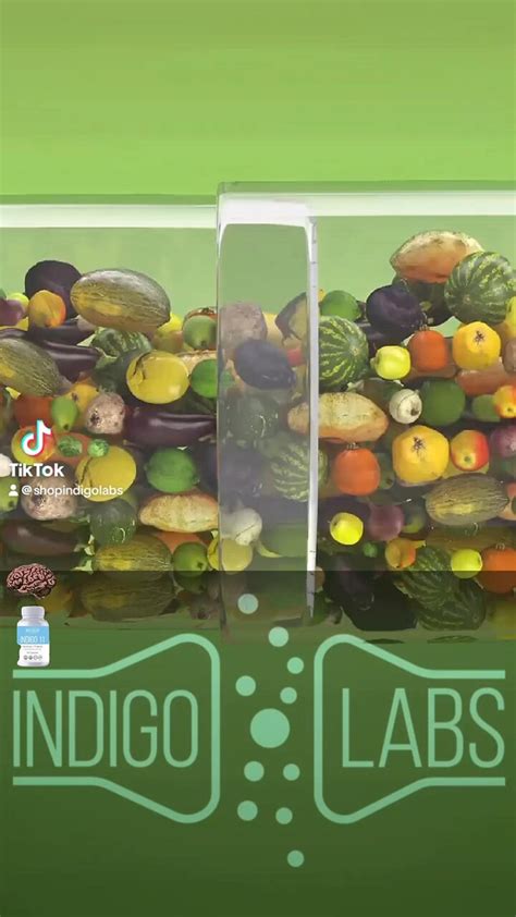 Todays Wellness Tip With Indigo Labs One News Page Video