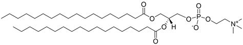Synthetic Lipids Dspc Nucleosyn