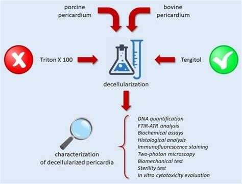 Biomimetics Mdpi On Linkedin A New Detergent For The Effective