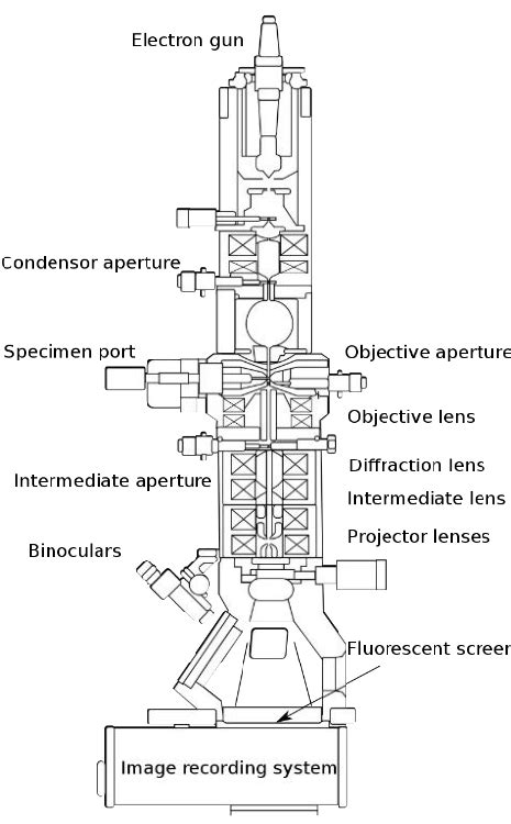 1 2 7 Schematic Diagram Of Optical Components In A Basic Tem System [14