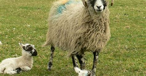 The Sexiest Time Of The Year Psychology Today Canada