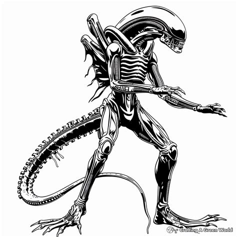Alien Versus Predator Coloring Pages [2025]