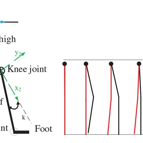 Lower Extremity Kinematics Model Download Scientific Diagram