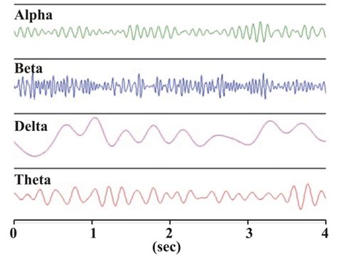 Electroencephalogram Alpha