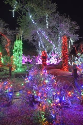 Ethel M Cactus Garden Lights Up For The Holiday Season — Photos Life