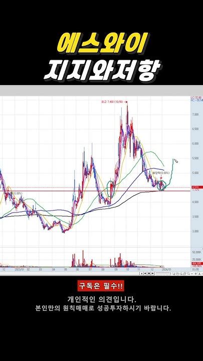 에스와이 주가 전망 재건 관련주 Youtube
