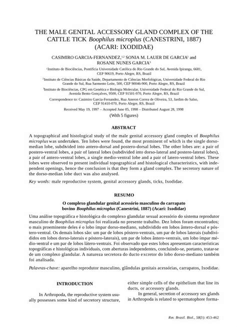 Pdf The Male Genital Accessory Gland Complex Of The Resumo O