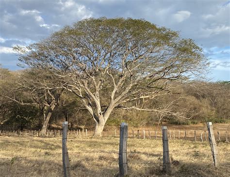 On Human Arrogance… They Cant Eat Ya