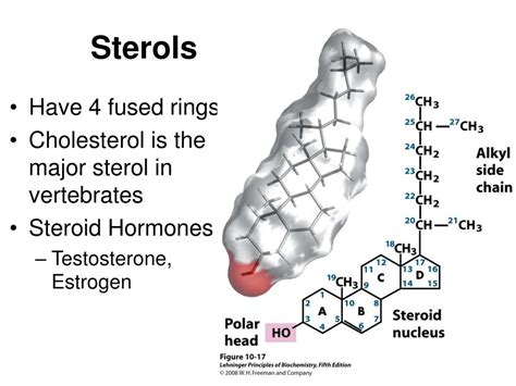 Ppt Chapter 10 Lipids Powerpoint Presentation Free Download Id