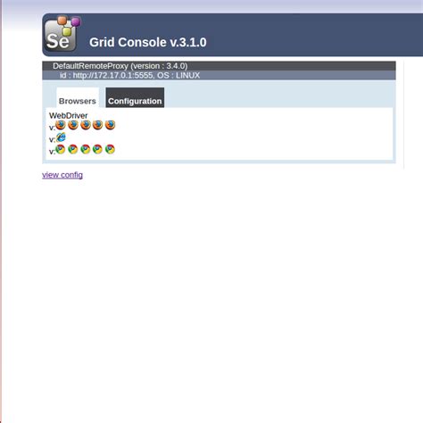 Getting Error While Running The Selenium Test Cases With Selenium Grid