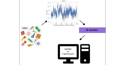 Yaroslav Balytskyi On Linkedin Enhancing Open World Bacterial Raman