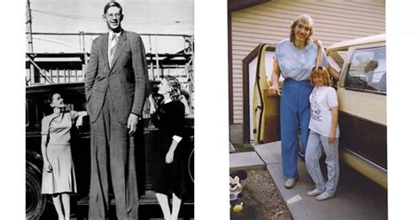 湯偉晉編寫的中文字典 Chinese Dictionary Compiled By Weijin Tang 高人一等