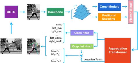 Figure 2 From Aggregation Transformer For Human Pose Estimation