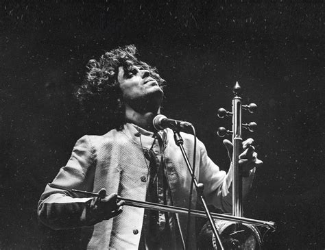 מארק אליהו הדוב הירוק