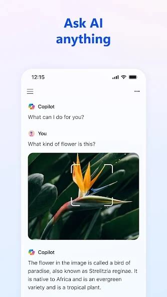 Microsoft Copilot Mod APK Free Download FileCR
