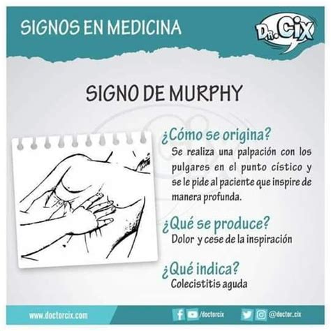 Pin De Luana Groch En Medical Inphography Oposiciones Auxiliar De