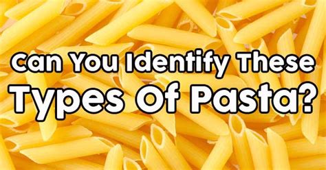 Can You Identify These Types Of Pasta QuizPug