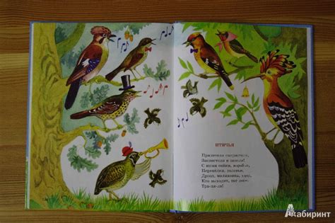 Книга: Разноцветные стихи - Марина Дружинина. Купить книгу, читать ...