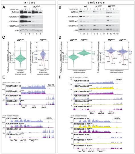 Figures And Data In Structural Basis For Prc2 Decoding Of Active Histone Methylation Marks