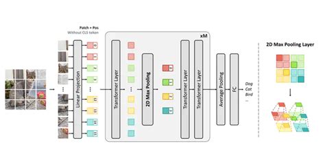 Investigating Bidimensional Downsampling In Vision Transformer Models